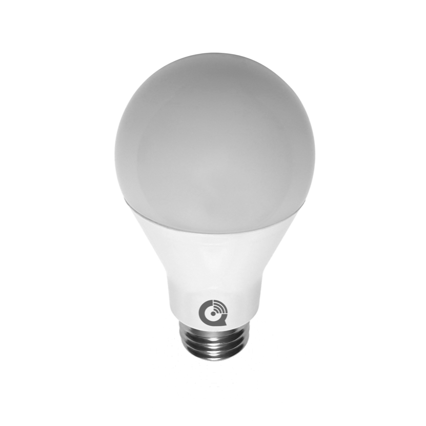 IQ Light Bulb – ACT DIY